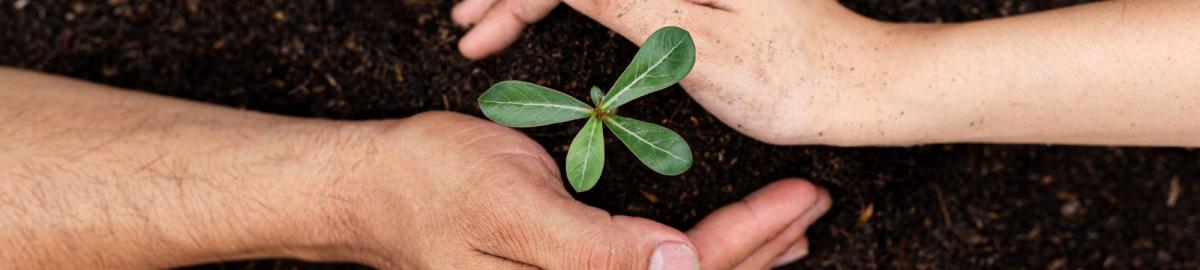 LEGACY GIFTS | Manitowoc-Two Rivers YMCA